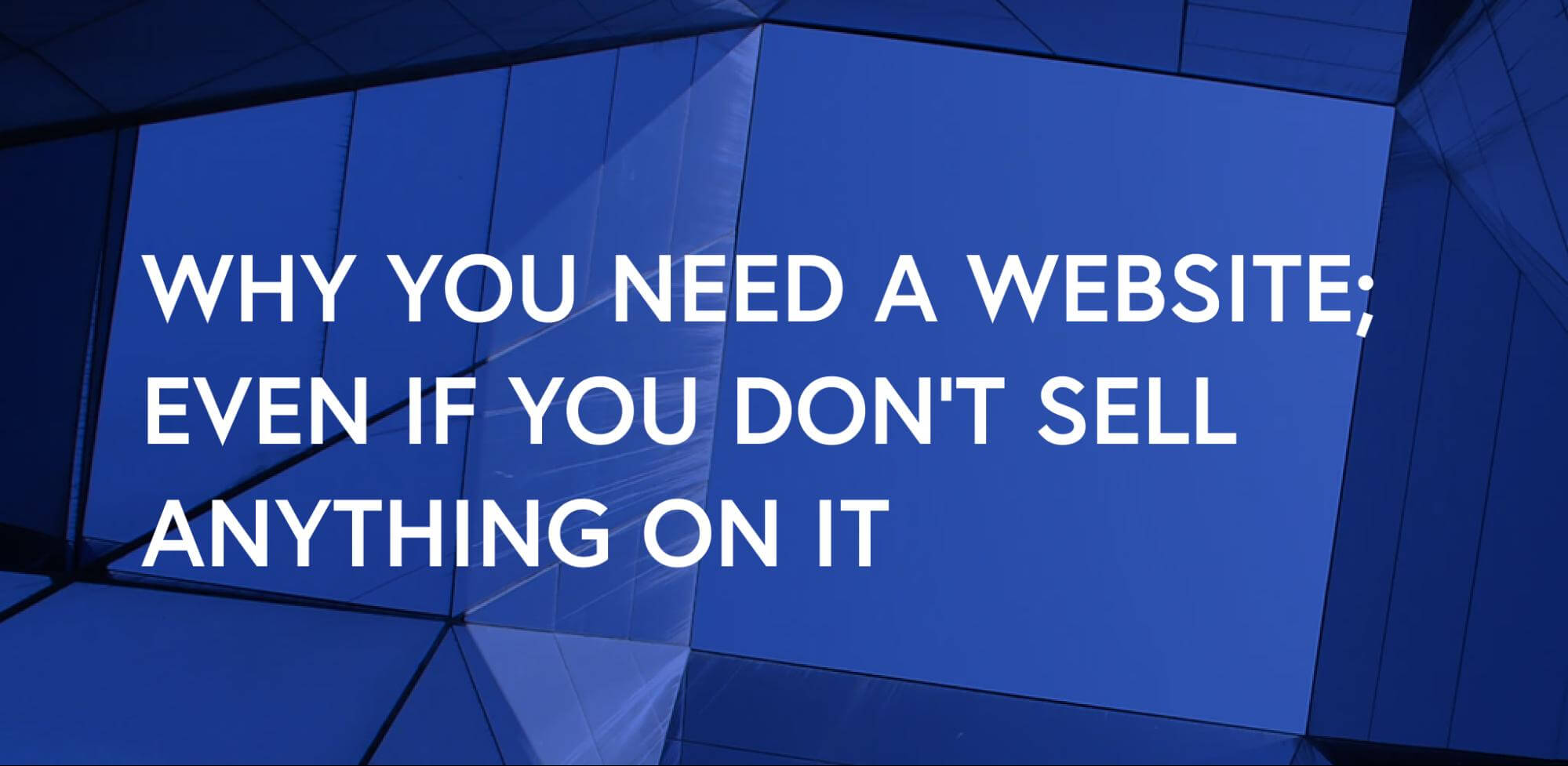 Why You Need a Website for your Business - Vine Digital